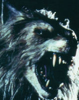 Champions - Canadian Shield - Werewolves